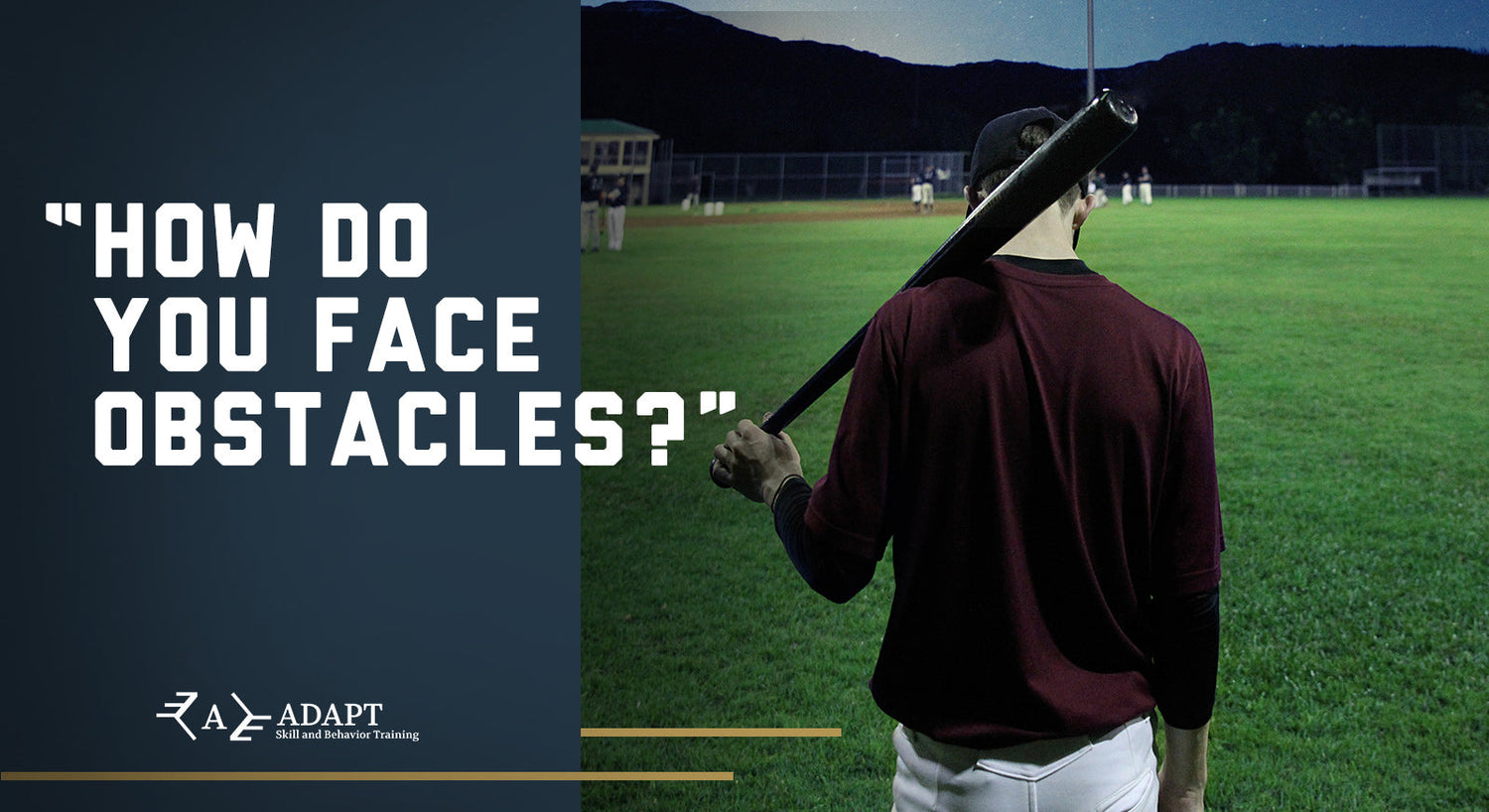 Mission Mindset & Mental Strength - Pillars for Success by ADAPT – Bat ...