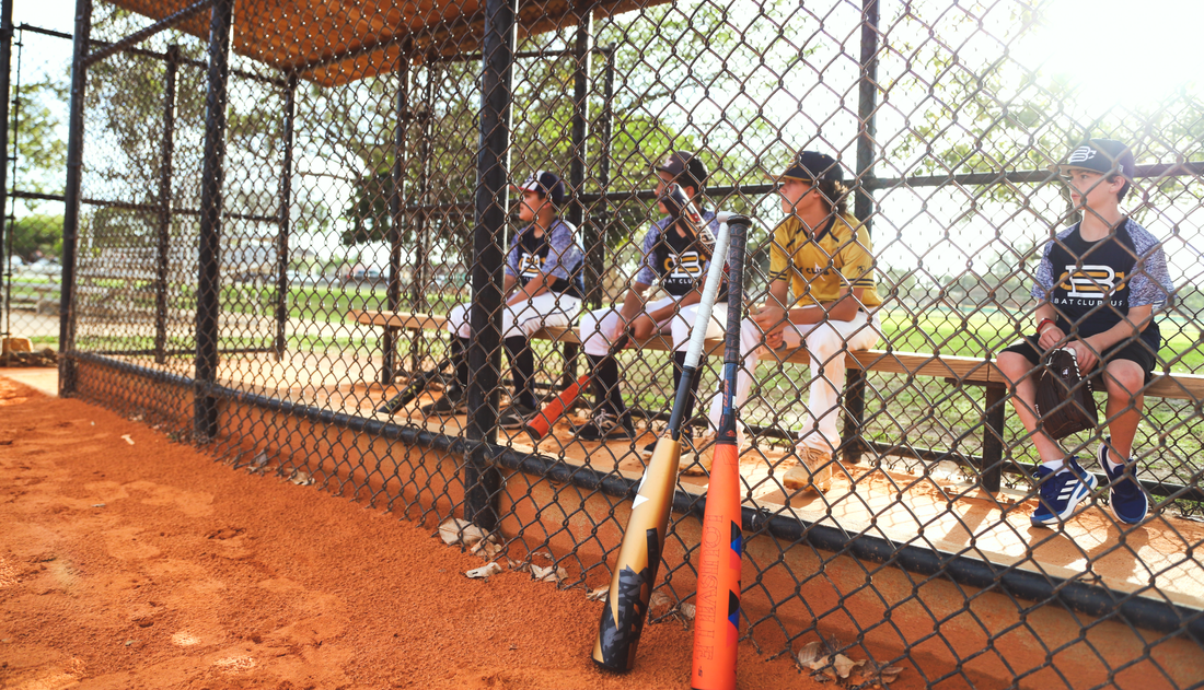 Bat Club USA Membership Options